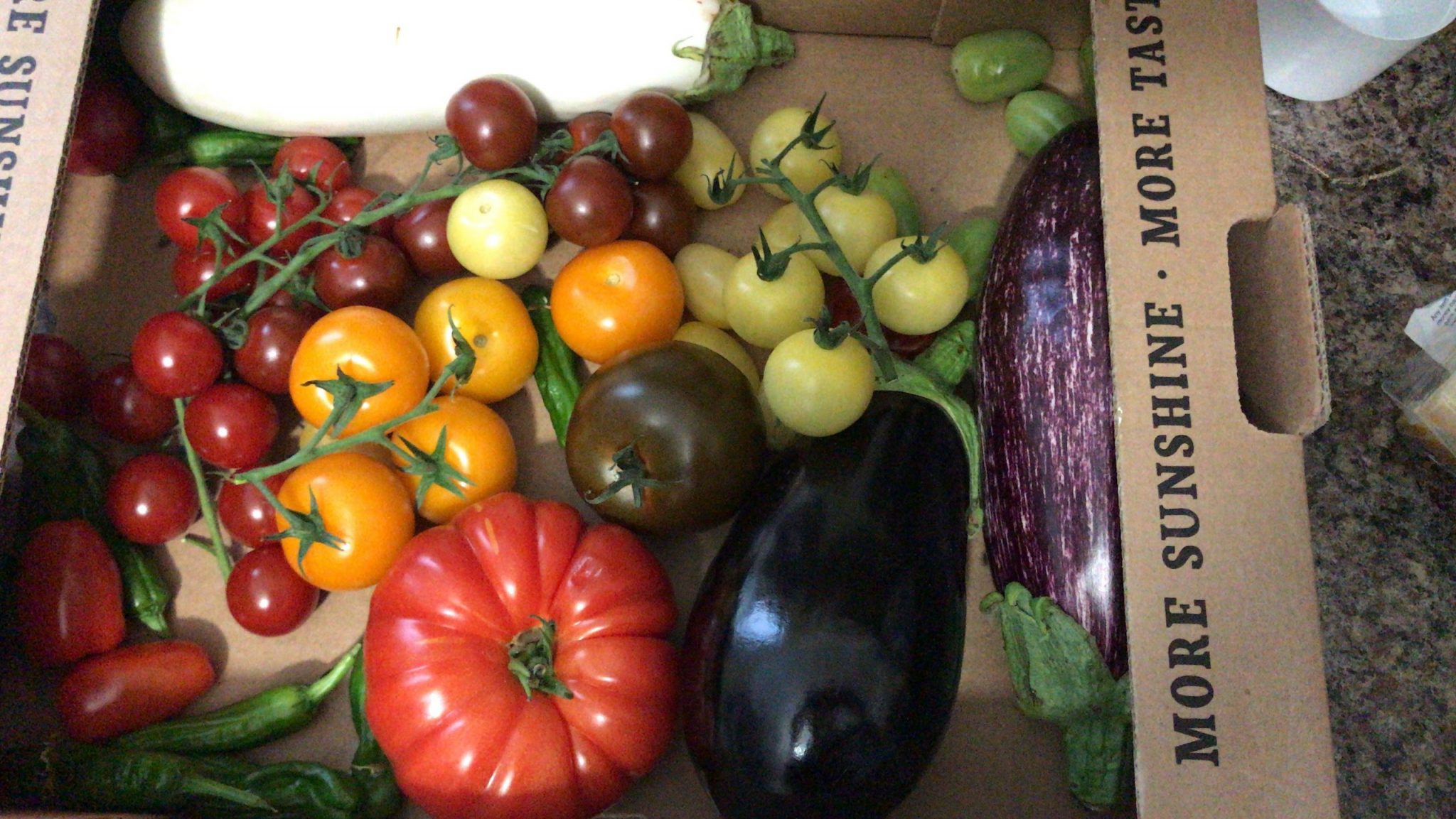 The Tomato Stall - Isle of Wight Flavours | Eat Street IOW